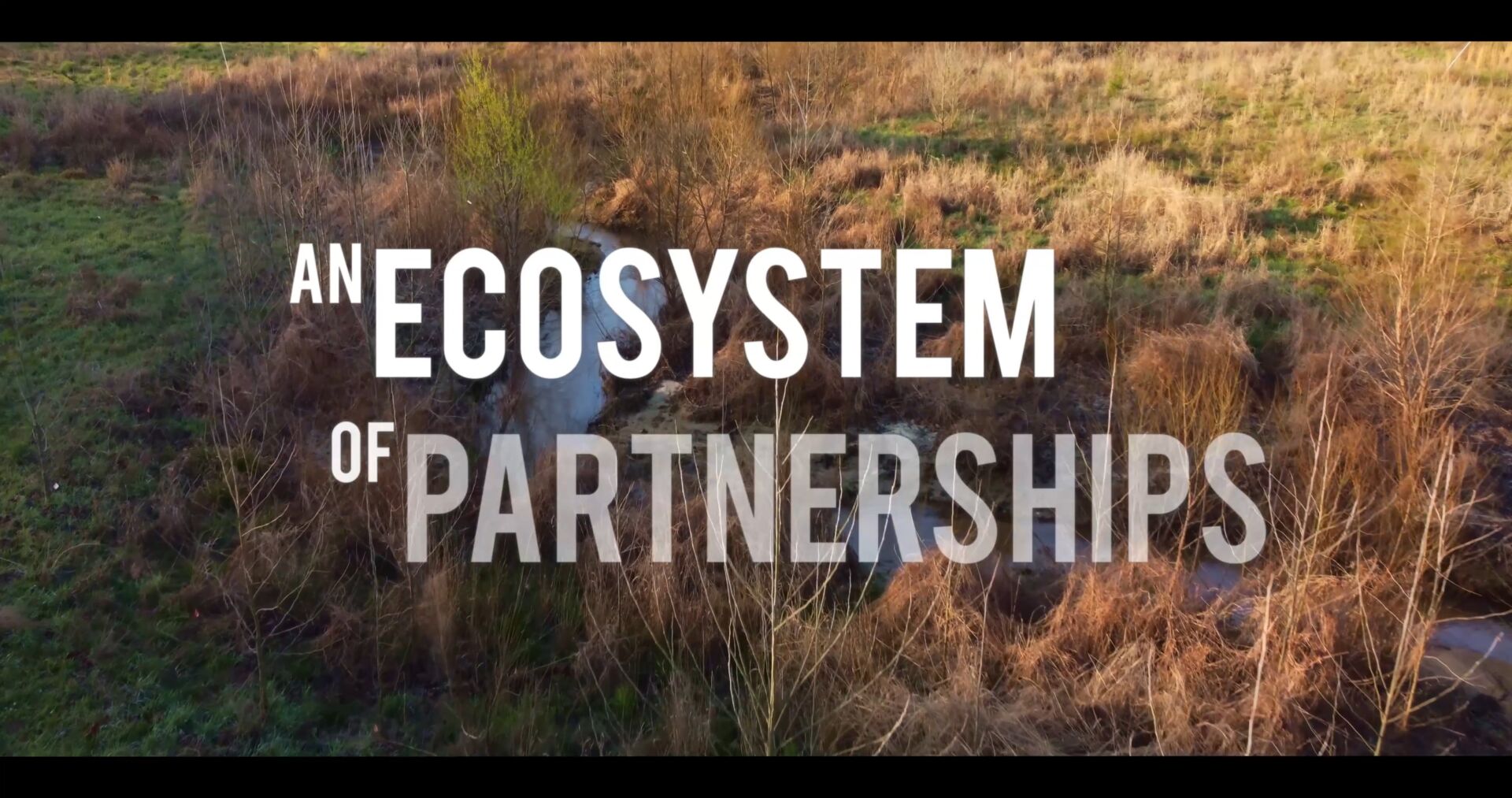 An Ecosystem of Partnerships - Ecosystem Investment Partners