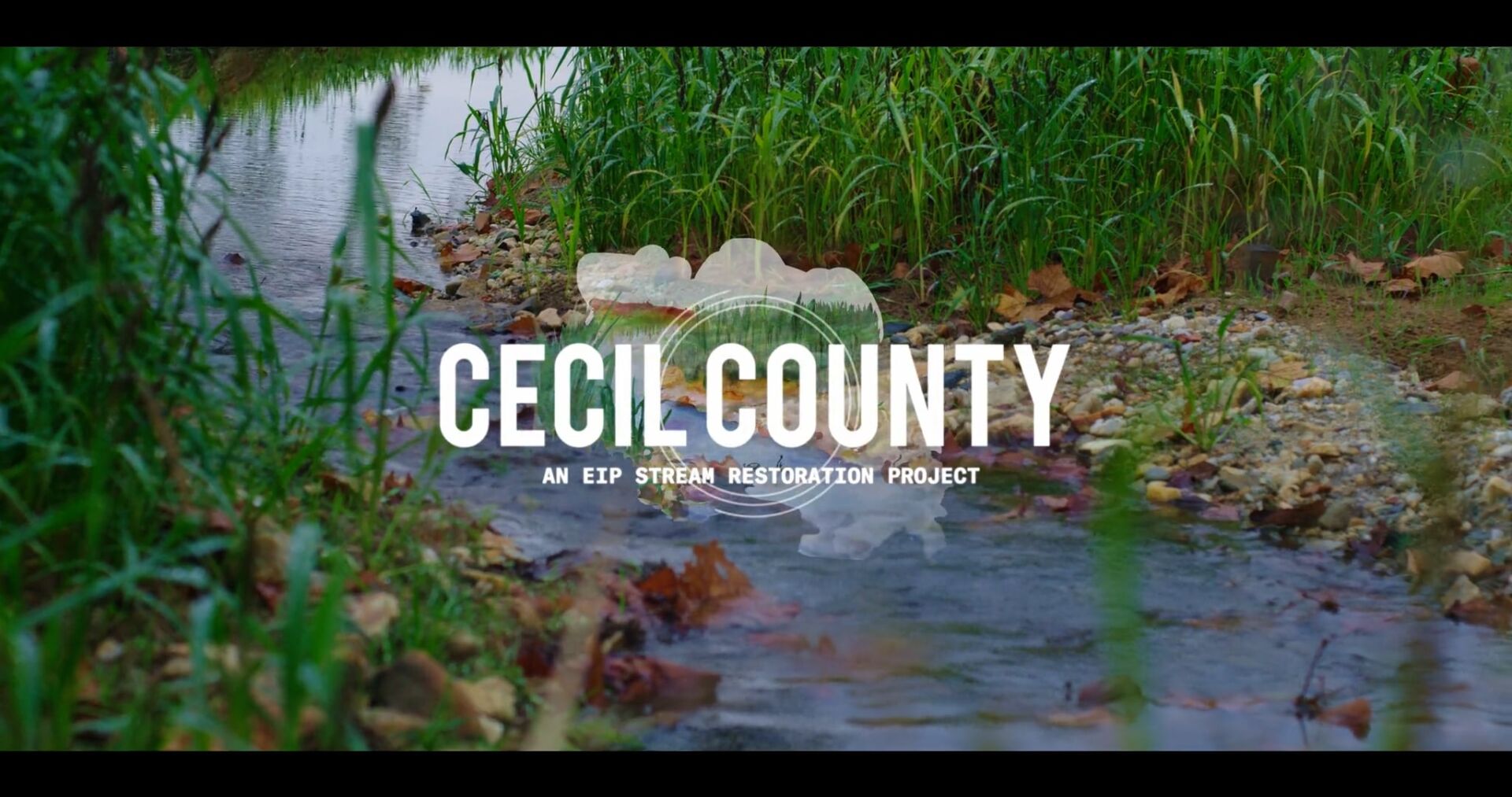 Cecil County: An EIP Restoration Project - Ecosystem Investment Partners