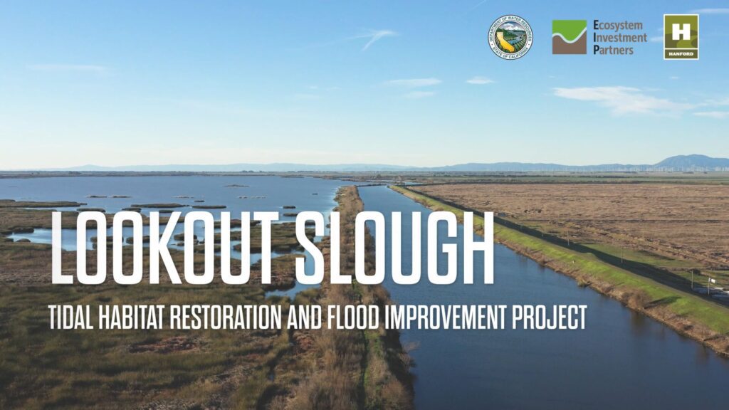 Media Gallery - Ecosystem Investment Partners